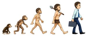 The Evolutionary Psychology of the Human Mind: Insights for best 1 ...