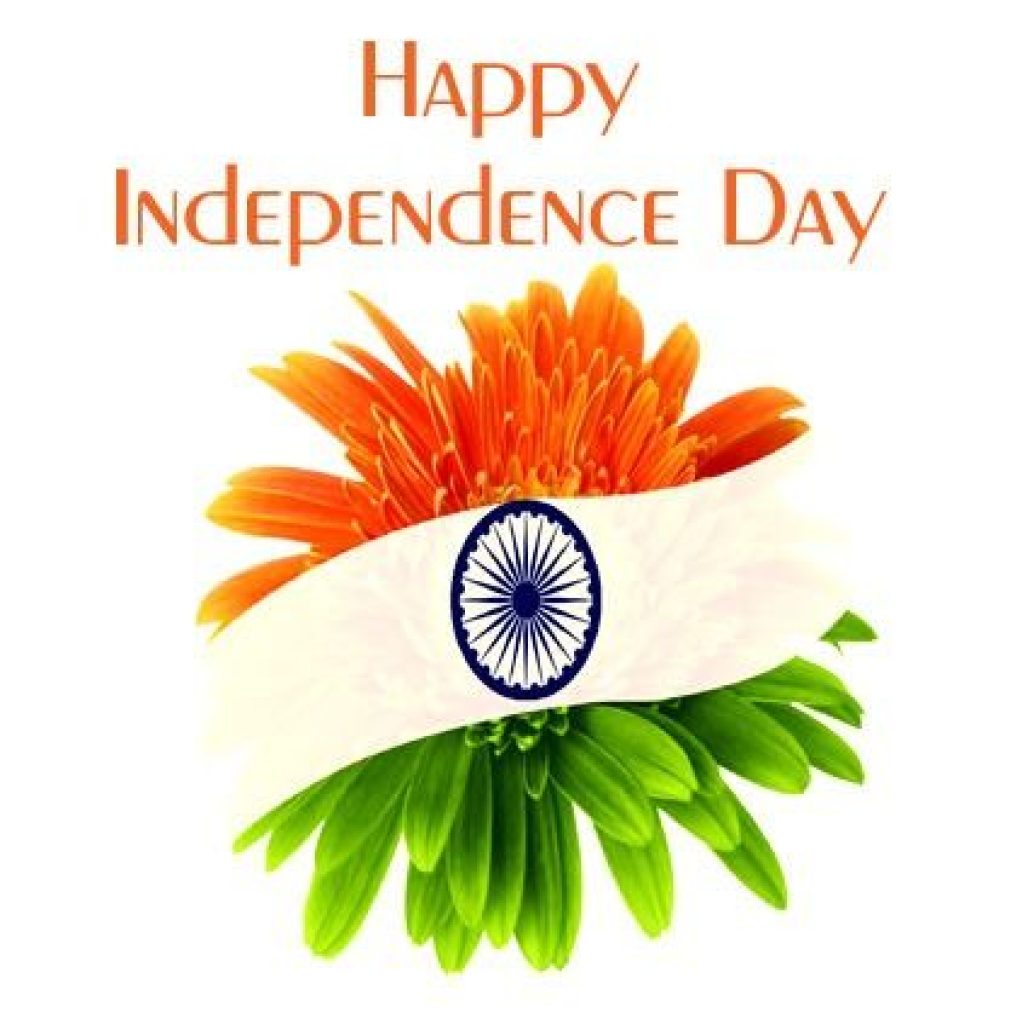 Celebrating Independence Day 2024: A Reflection on Freedom and Unity ...