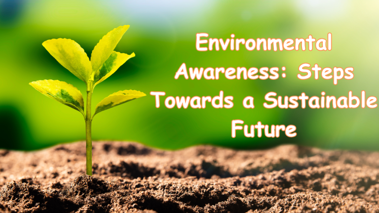 Environmental Awareness: 8 Steps for a Sustainable Future